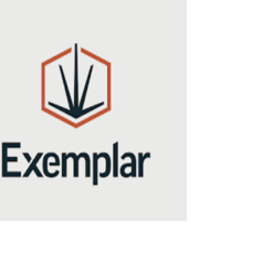 Exemplar Services (Formerly LNR Grain Systems) | bucket elevators | installation | Greencastle ...