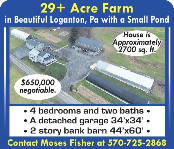 29+ Ac. Farm, 4BD/2BA/Pond: Loganton, PA | Real Estate ...