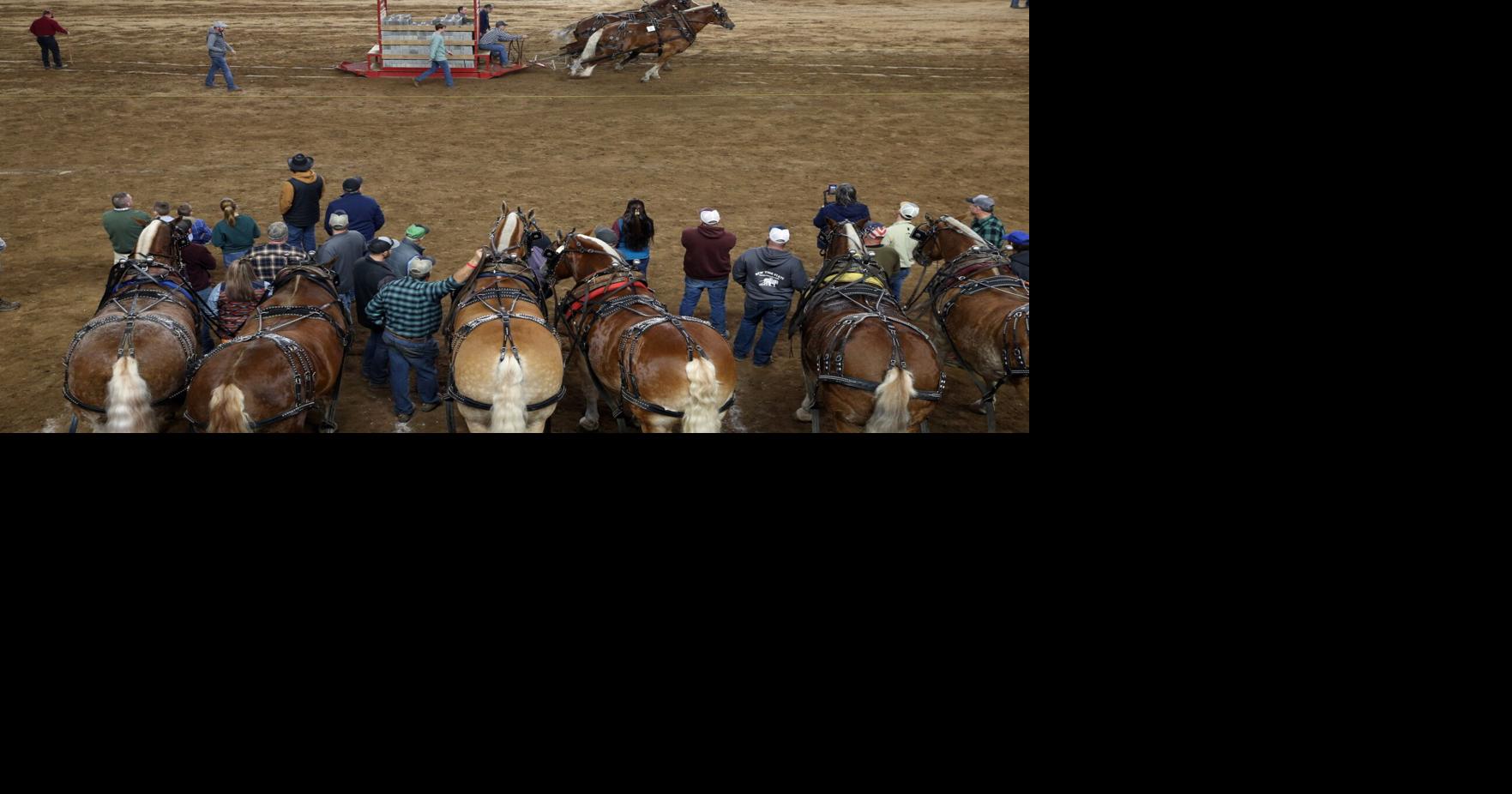 What’s New at the 2026 Pennsylvania Farm Show? | Farm Shows, County ...