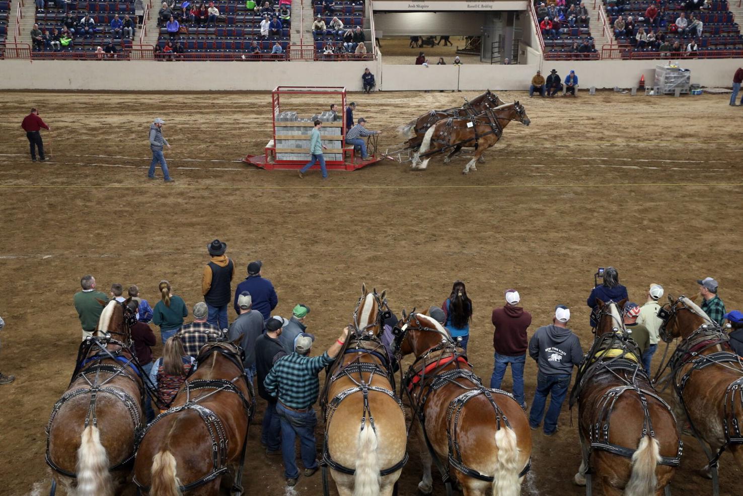 What’s New at the 2026 Pennsylvania Farm Show? | Farm Shows, County ...