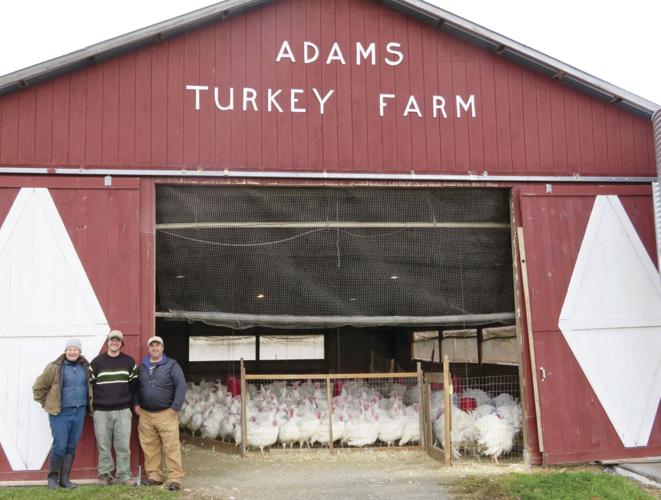 Adams Turkey Farm Diversifies to Grow | Farm and Rural Family Life ...
