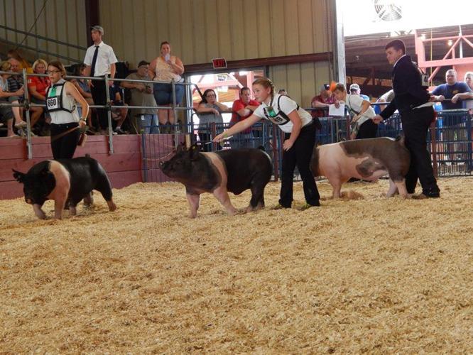 Berkeley Fair Is All About the Kids | | lancasterfarming.com