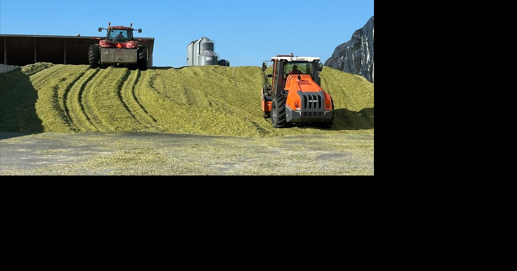 Tracking Corn Silage Moisture for Best Harvest Timing | Field Crop News ...