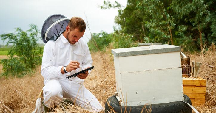 Beekeeping and Tech: New Tools for Managing Hives, Including ...