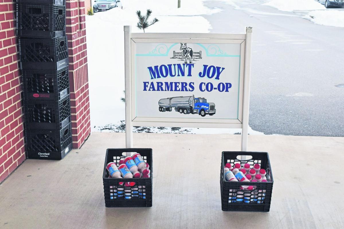 Schuylkill Haven Milk Plant To Reopen for Cottage Cheese Production ...