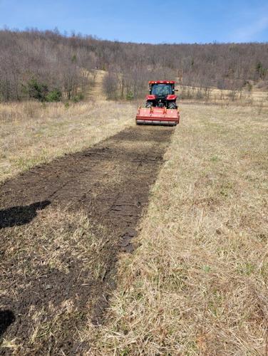 Angus Beef Herd Transforms Mining Landscape | Farming and Agricultural ...