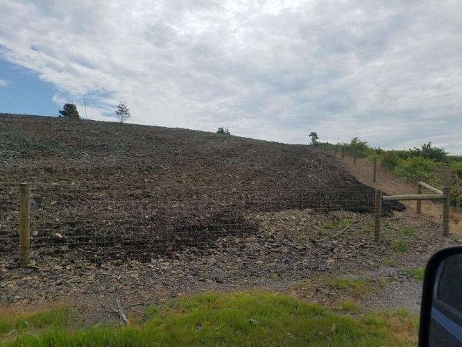 Angus Beef Herd Transforms Mining Landscape | Farming and Agricultural ...