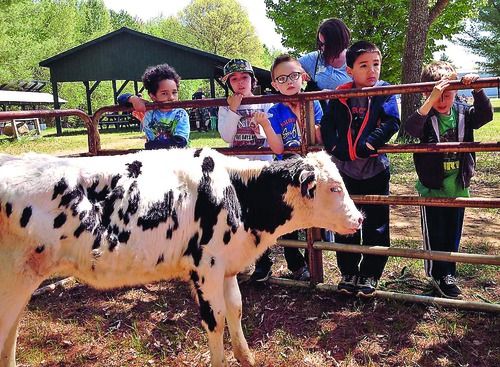 Farming Field Trip Provides Enjoyable Day Out of the Classroom ...