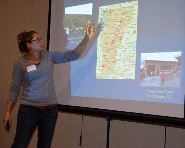 Researcher Sheds Light on Sunflower Production | Farming and ...