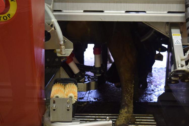 Milky Way Farm is an All-Star Dairy Destination | News ...