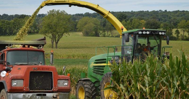 Dry Summer Hurts Silage Yields | Farming and Agricultural News ...