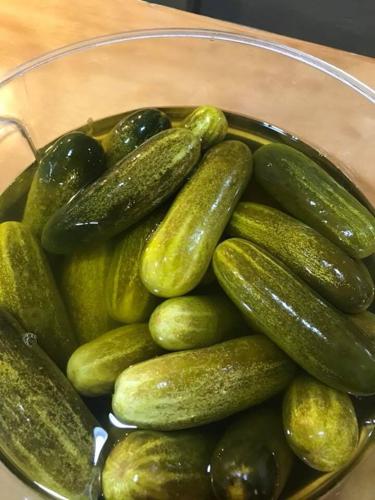 Not Your Average Pickles: Exploring Lancaster Pickle Co.'s Unique ...