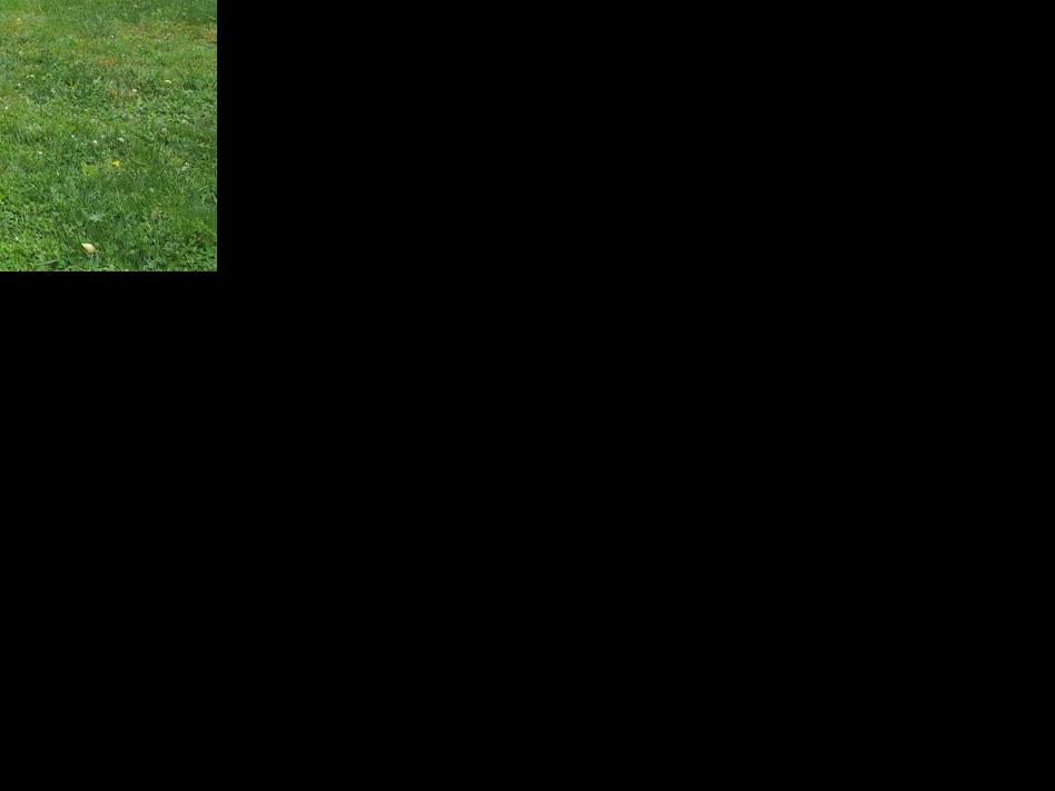 June Dairy Month Recipes, June 3, 2023 | Seasonal Food and Country ...