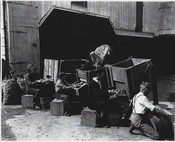 Penn State to Demolish Century-Old Bank Barns | Antiques, Collectibles ...