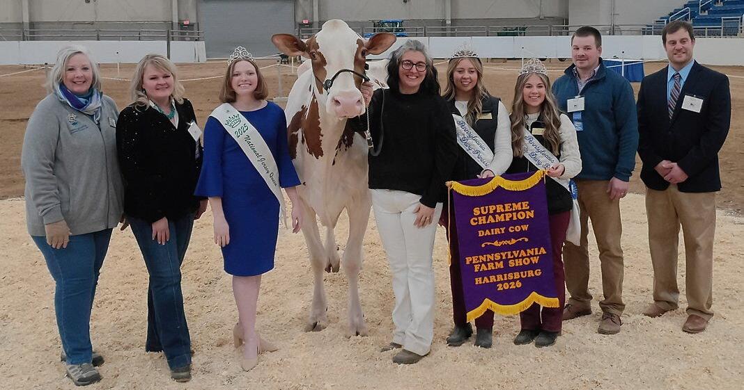 Red and White Cow Wins PA Farm Show Supreme for Third Year Straight ...