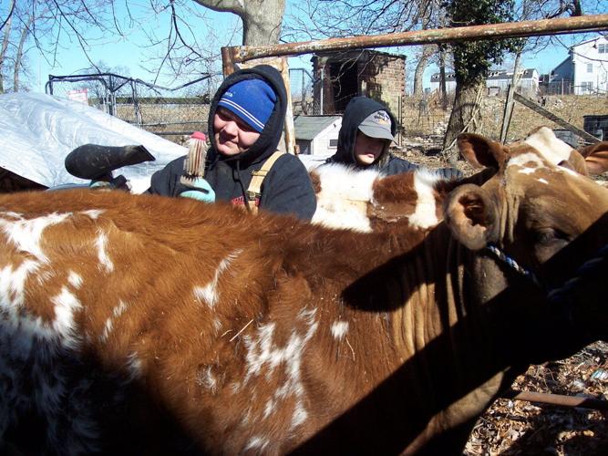 Katie Shultz Honored as Dairy Youth Mentor at World Dairy Expo ...