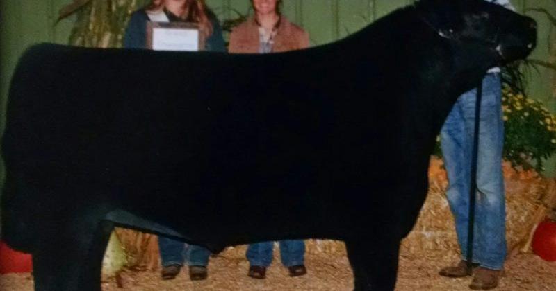 Manheim Farm Show Livestock Sale Raises Over $235,000 | Farm Shows ...