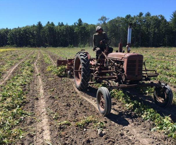 A Lifetime of Learning to Produce Premium Dry Beans | Seasonal Food and ...