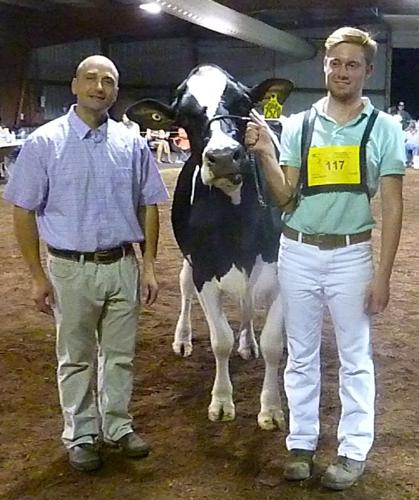 Winners Announced for South-Central Holstein Show | Farm Shows, County ...