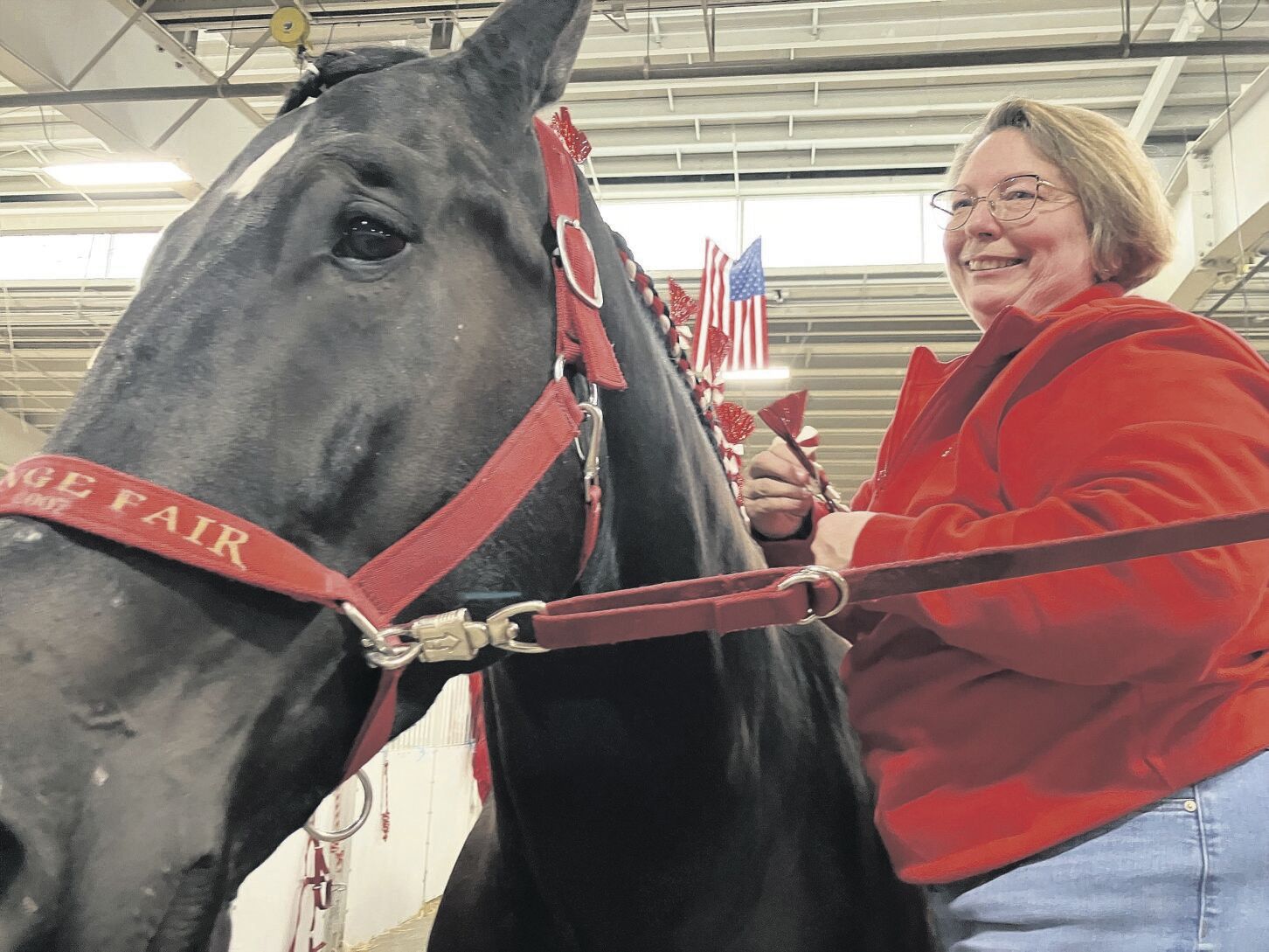 Draft Horses on Display Draw Crowds at the PA Farm Show | Horse News ...