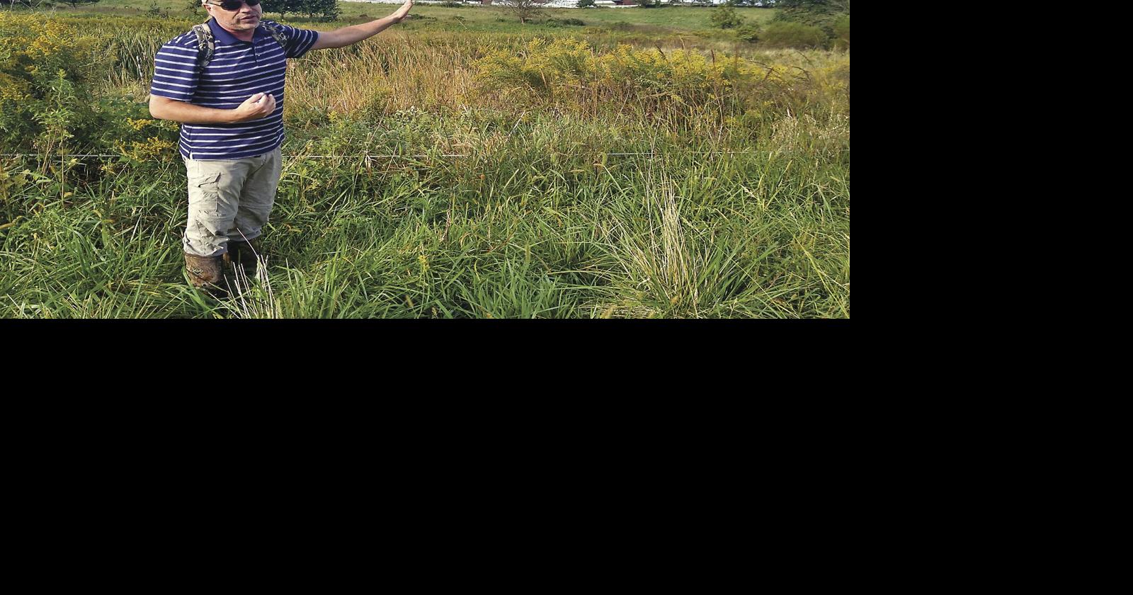 After 10 Years, Stream Restoration Strategy Still Shows Merit at Big ...