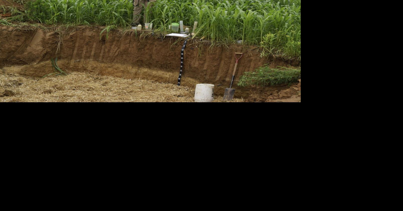 Chesapeake Bay Alliance, CNH Host Field Day for Conservation ...