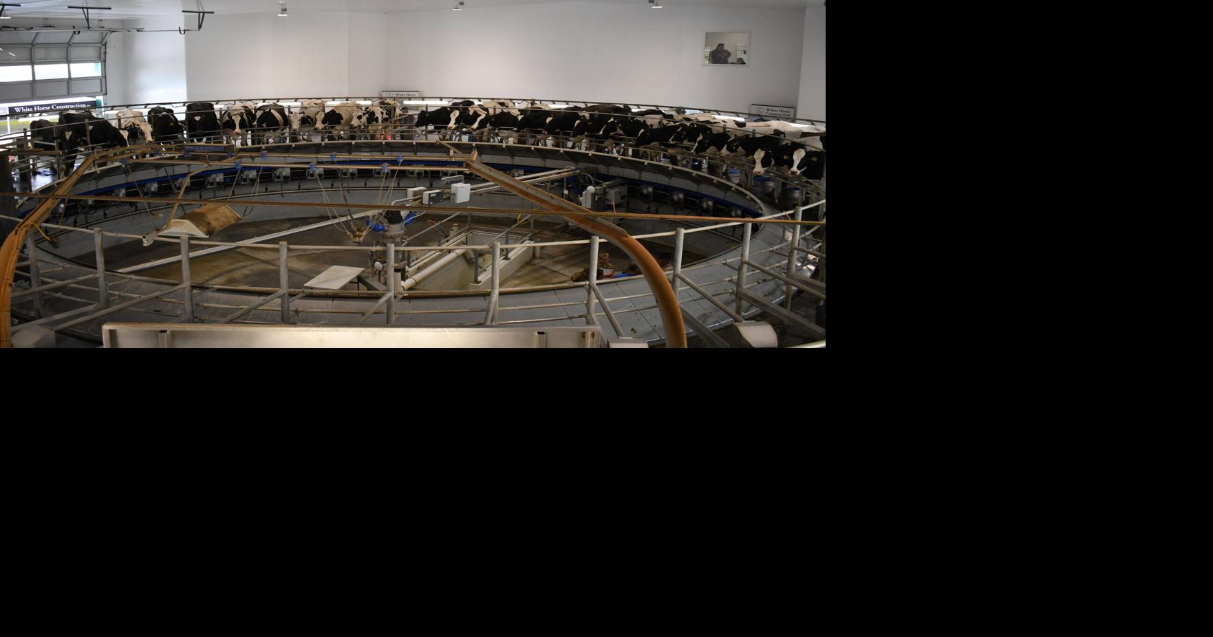 DeLaval Rotary Parlor Wheels Dairy Farm Into Future | Dairy News ...