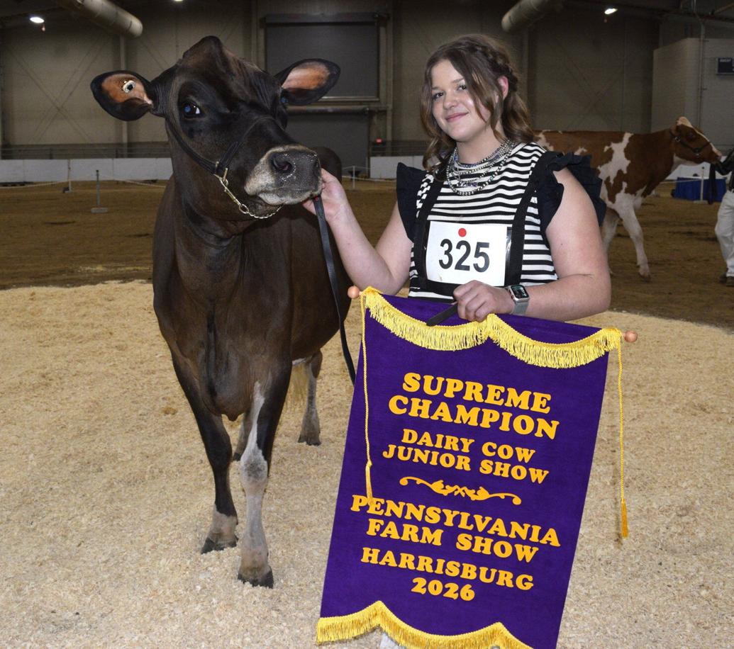 Red and White Cow Wins PA Farm Show Supreme for Third Year Straight ...