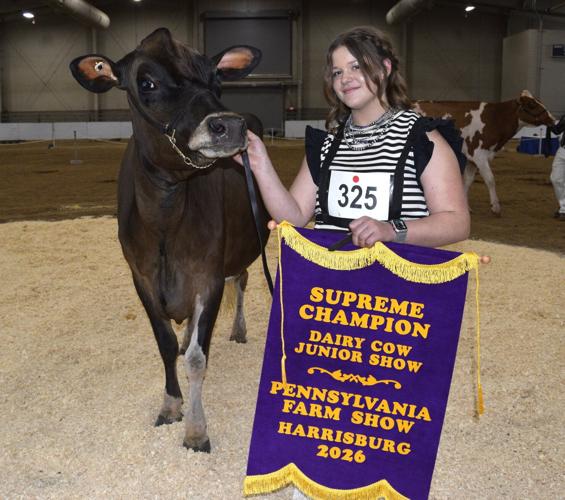 Red and White Cow Wins PA Farm Show Supreme for Third Year Straight ...