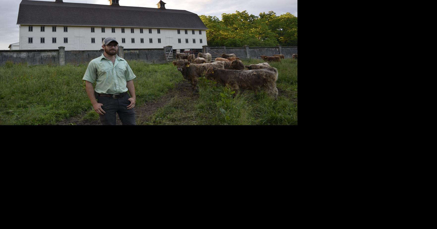 Sheppard Farm Pasture Walk Features Pennsylvania Highland Herd ...