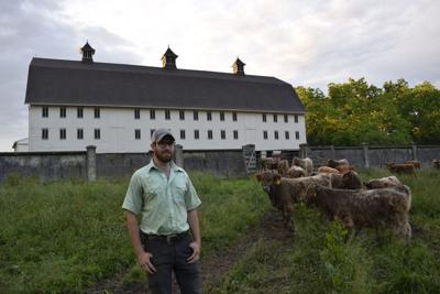 Sheppard Farm Pasture Walk Features Pennsylvania Highland Herd ...
