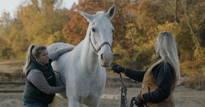 New Jersey’s First Veterinary School in Session | Livestock News ...