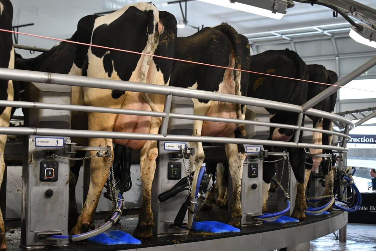 DeLaval Rotary Parlor Wheels Dairy Farm Into Future | Dairy News ...