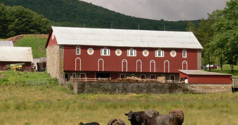 Sustainable Agriculture in Pennsylvania | Lancaster Farming ...