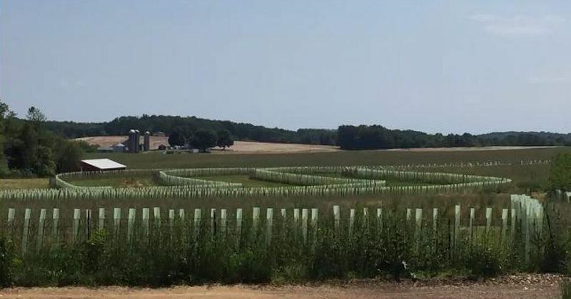 Keyline Design Helps Farmer Maximize Water | Conservation and Renewable ...