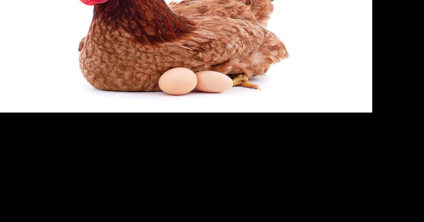 Sick Chickens and Sticker Shock: A Look Back at 2022’s Top Ag Stories ...