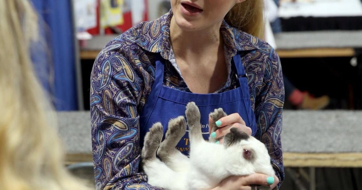 Meet the Teen Who Has Been Showing Rabbits for 14 Years | Farm Shows ...