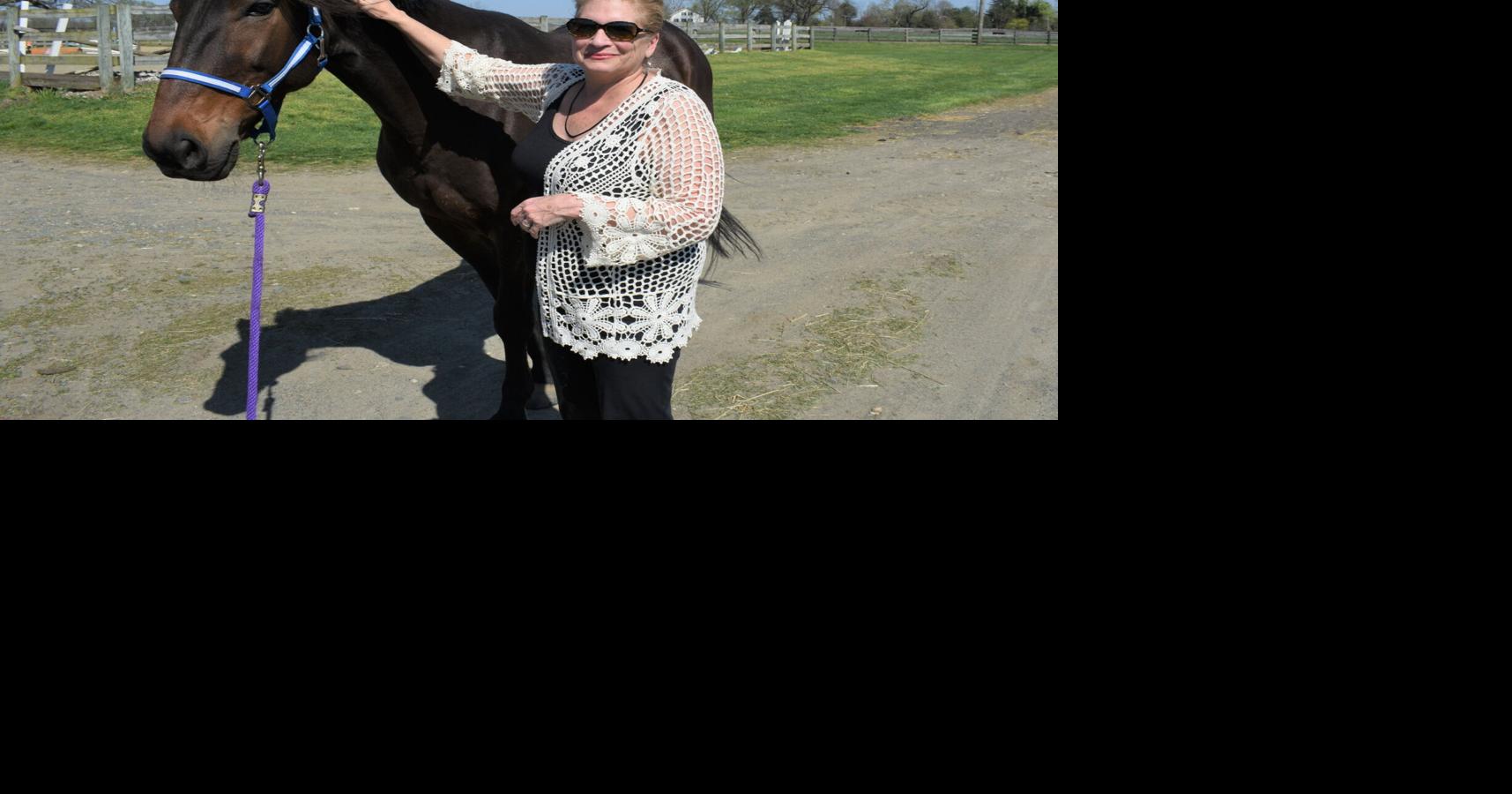 Retired Standardbred Racehorses Popular With Riders and as Police ...