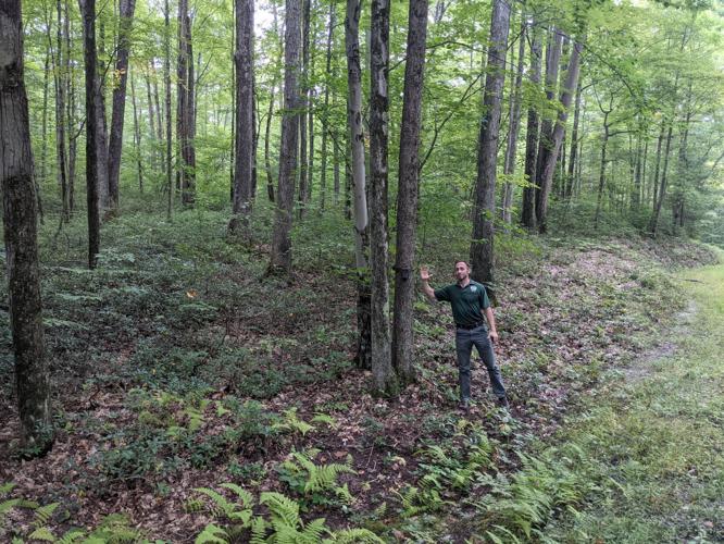 You Just Acquired a Woodlot — Now What? | Farming and Agricultural News ...
