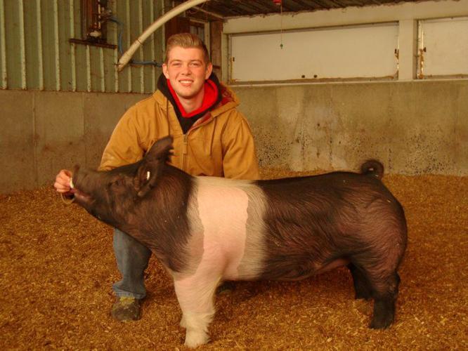 10 Bomgardner Cousins Set to Hog Farm Show | Farm Shows, County Fairs ...