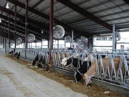 Unique Partnership Brings University Milk Back to Virginia Tech | Dairy ...