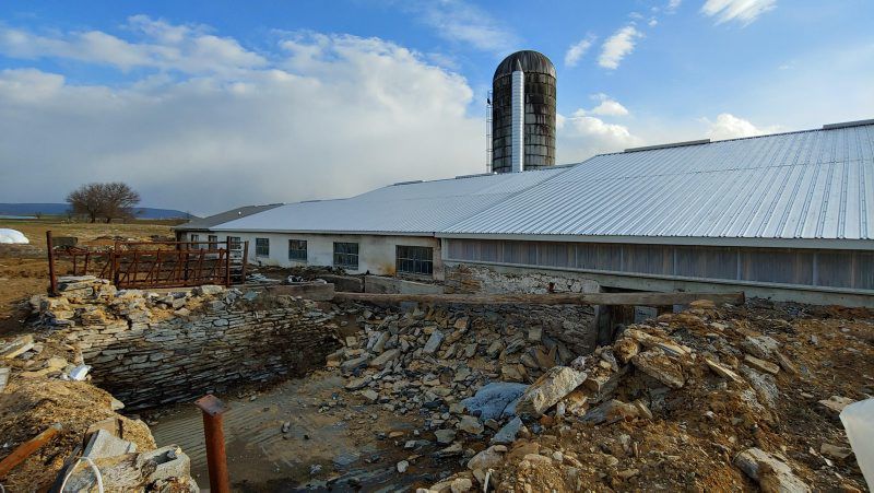 Until the Cows Come Home | Farming and Agricultural News ...