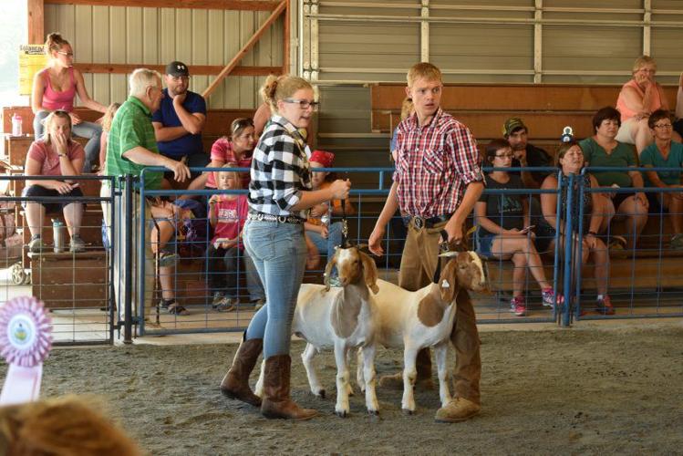 Solanco Showman Adds Another Win | Farm Shows, County Fairs, Events and ...