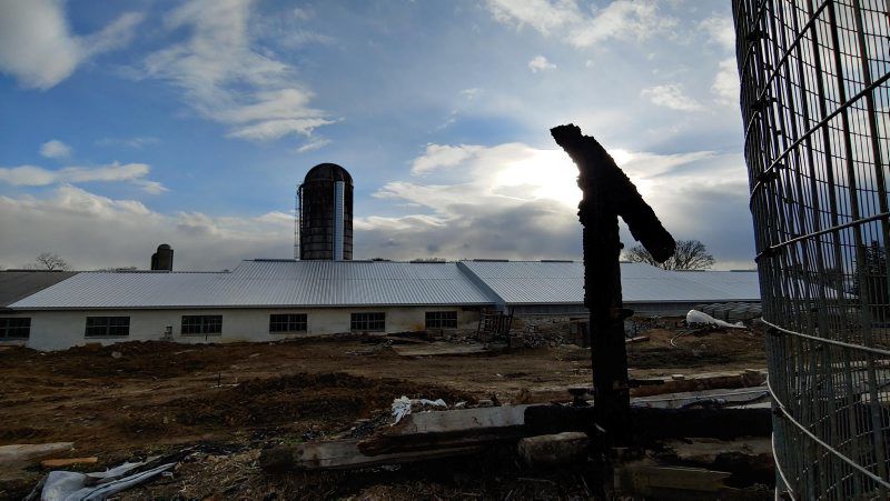 Until the Cows Come Home | Farming and Agricultural News ...