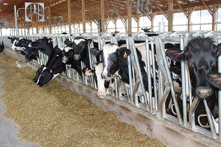 Open House Set for Rohrer Dairy | Dairy News | lancasterfarming.com