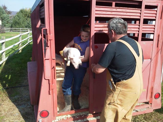 Crossing the Fenceline: Enthusiastic Fifth-Grader Lends Helping Hand ...