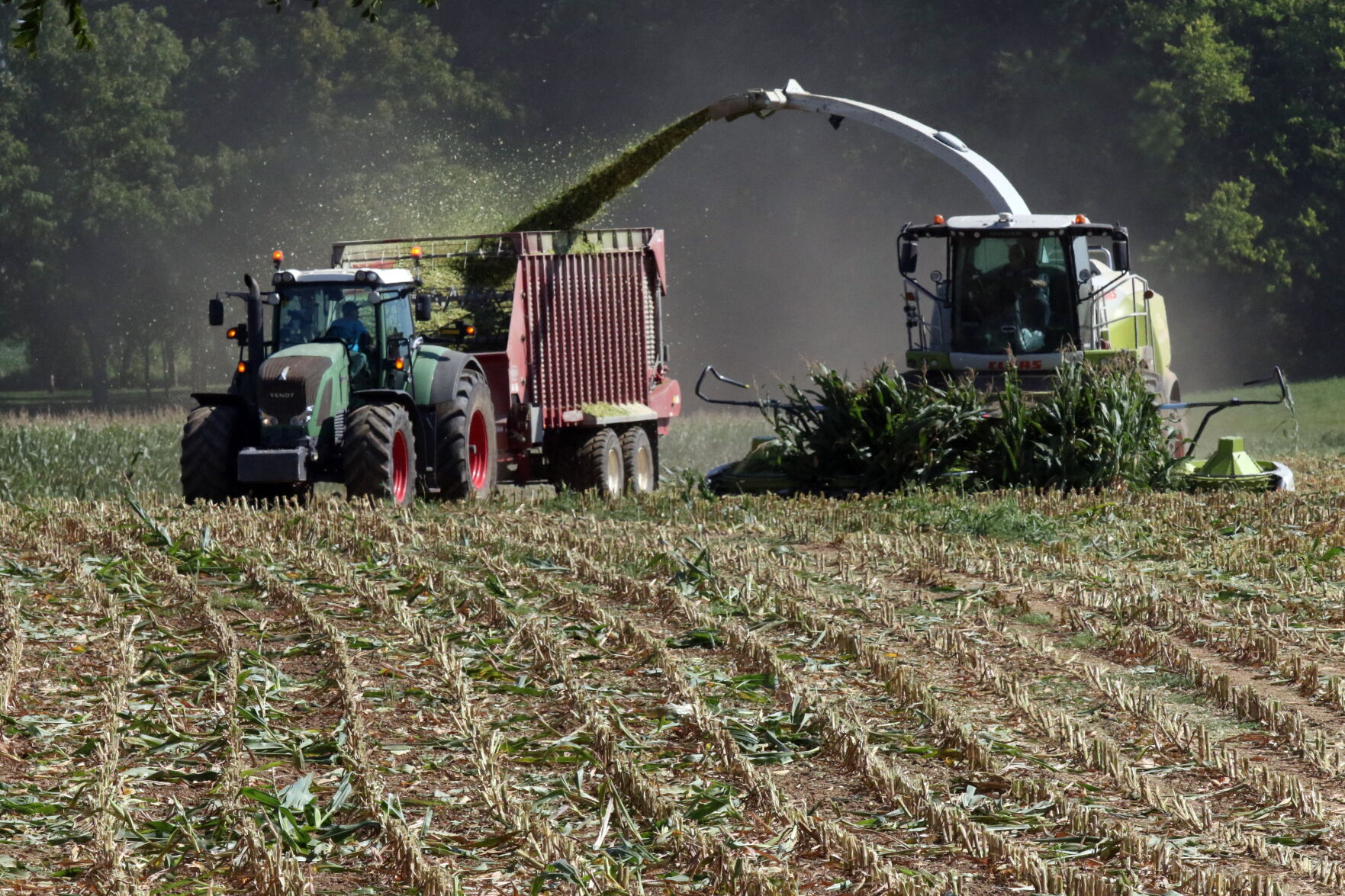 Corn Harvesting, Then and Now [Opinion] | Farm and Rural Family Life ...