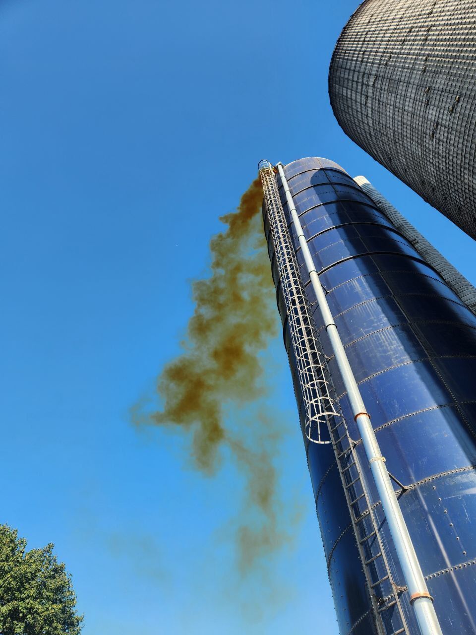 Severe Silo Gas Reported as Silage Harvest Begins | Field Crop News ...