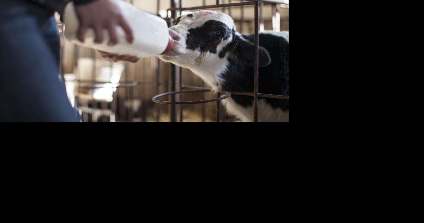 Farming Is Meaningful Work [Opinion] | Farm and Rural Family Life ...