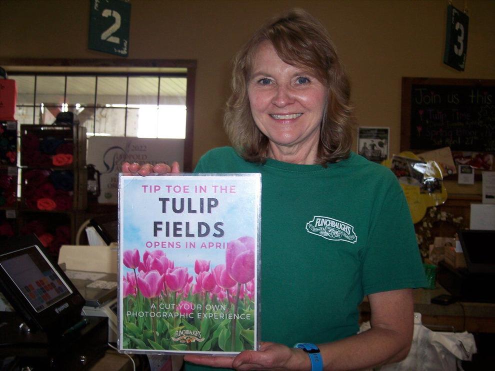 Spring Bloom Tulip Festival Brings Visitors and Business to York Farm ...